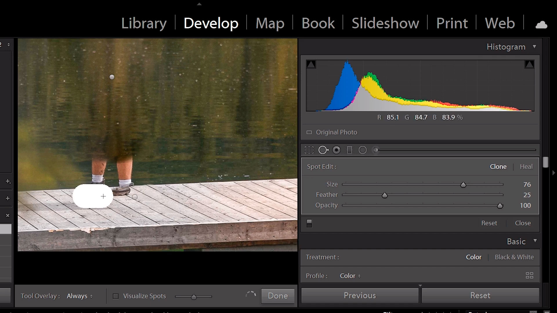 How To Remove Objects In Lightroom Full Guide